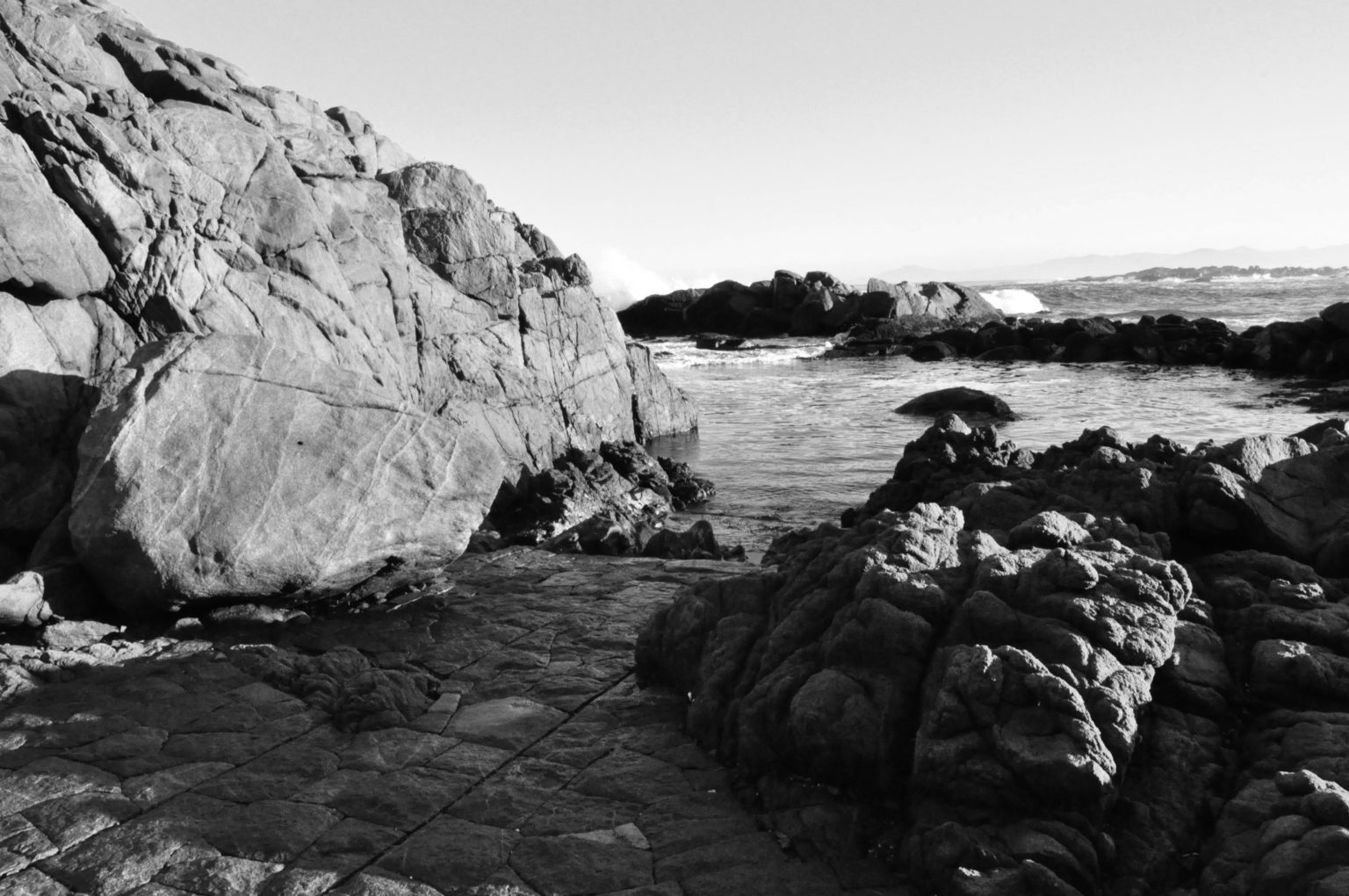 Punta Pite - Teresa Moller