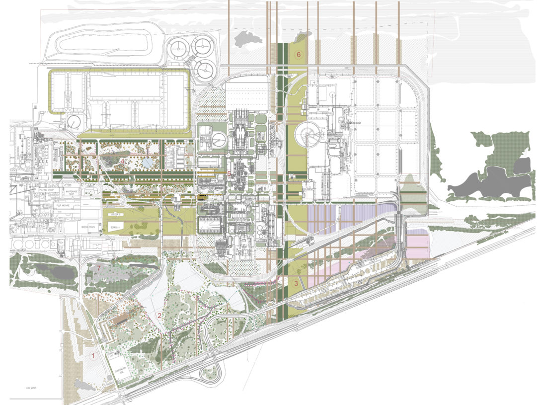 MAPA-Arauco - Teresa Moller