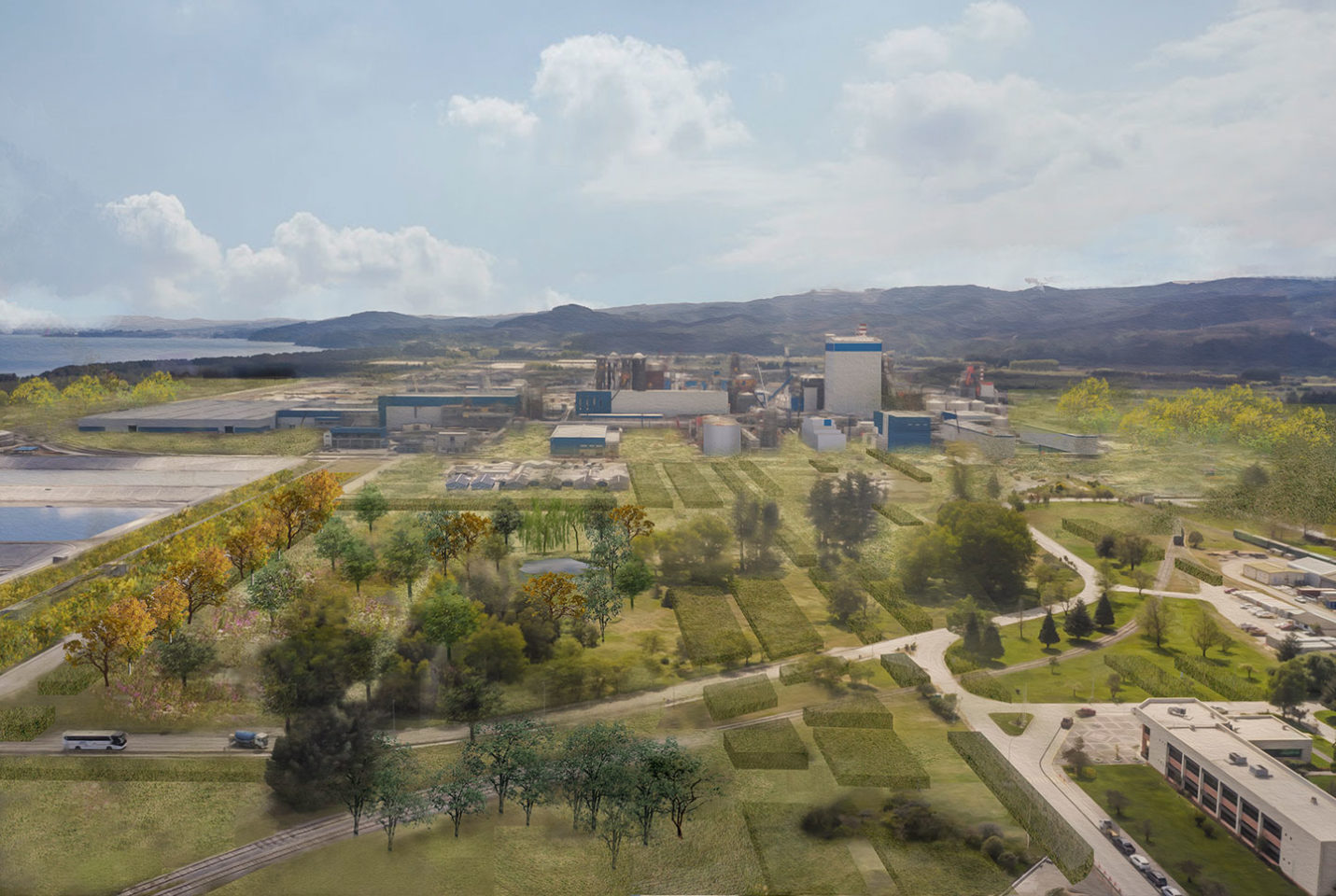 MAPA-Arauco - Teresa Moller